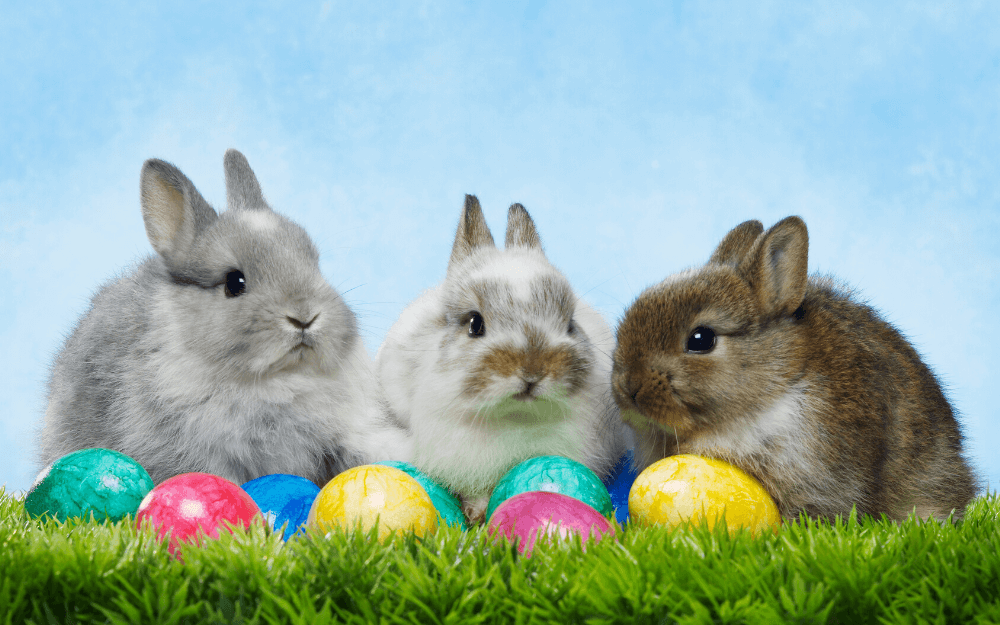 Easter Color by Number Division Worksheets - Raven Cruz